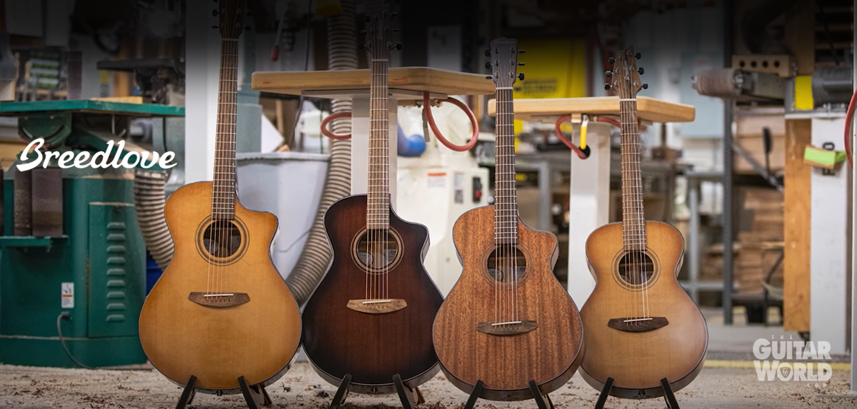 The Guitar World: Guitars & Musical Instument Sales, Lessons & Repairs
