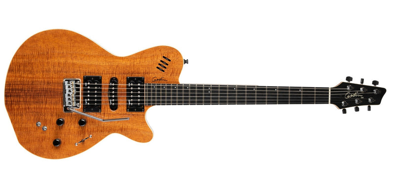 Godin - The Guitar World