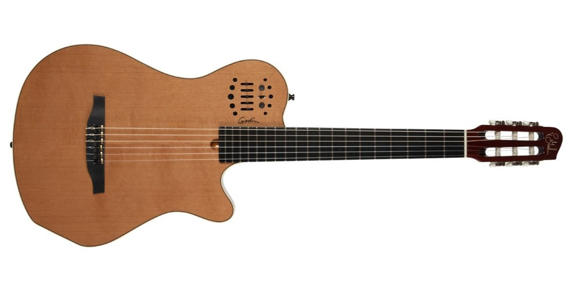 Godin - The Guitar World